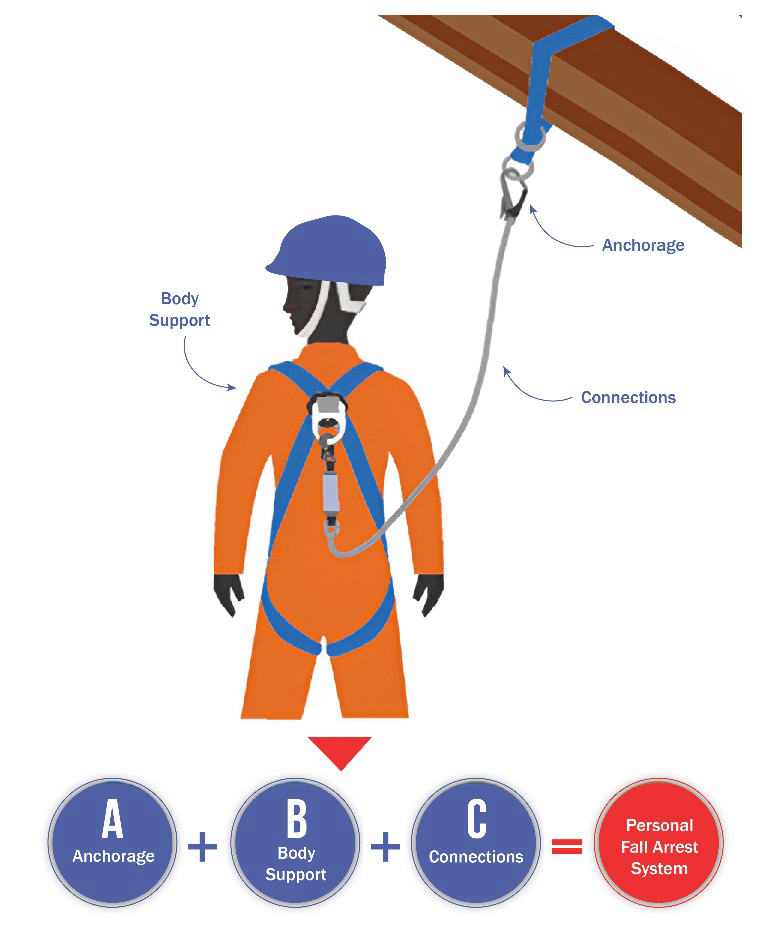 Mastering Fall Protection: Essential Training and Best Practices ...