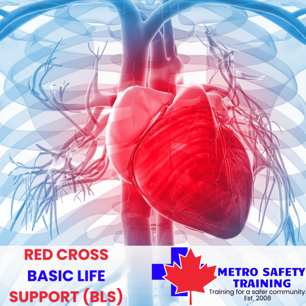 Basic Life Support BLS Training (BLS) in BC - Metro Safety - Metro ...