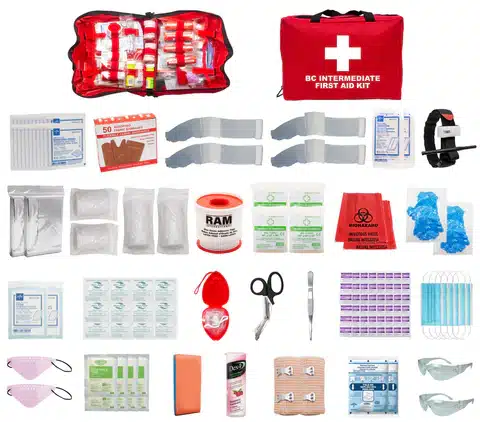BC CSA Intermediate First Aid Kit Refill – Type 2 Large (Full CSA Z1220 ...